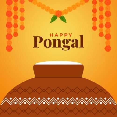 Pongal Social Media post Templates Set - Zeiore Studio